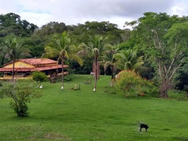 Fazenda para Pecuária 97 Alqueires OPORTUNIDADE DE NEGÓCIO perto de Brasília