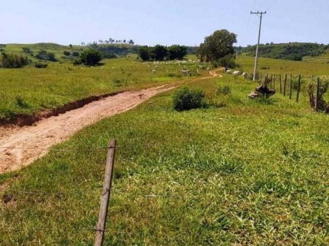 Fazenda. Para pecuária formada