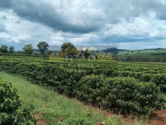 Fazenda para Venda.