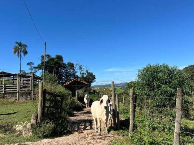 Fazenda para venda Área Rural Moeda