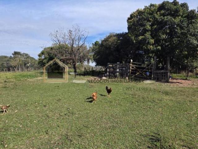 Fazenda para Venda Dona Antônia, Piracicaba
