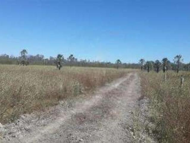 Fazenda para Venda em Cotegipe/BA Zona Rural