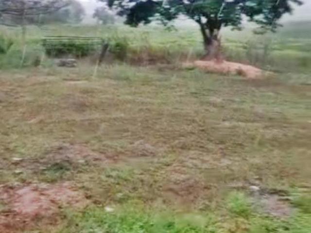 Fazenda para Venda em Coxim, Zona Rural
