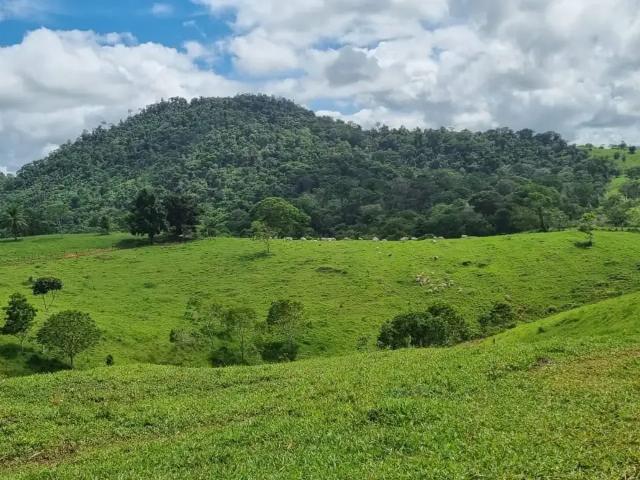 Fazenda para Venda em Coaraci/BA Centro