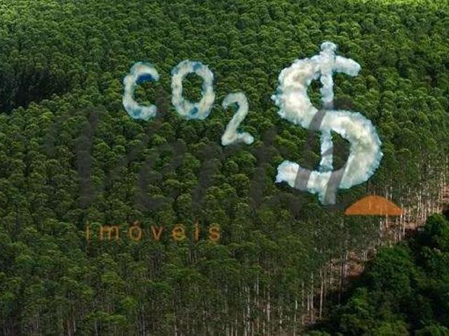 Fazenda para Venda em Coari/AM Centro 1 Quartos