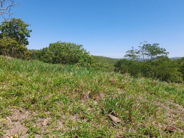 Fazenda para venda em Cocalzinho de Goiás