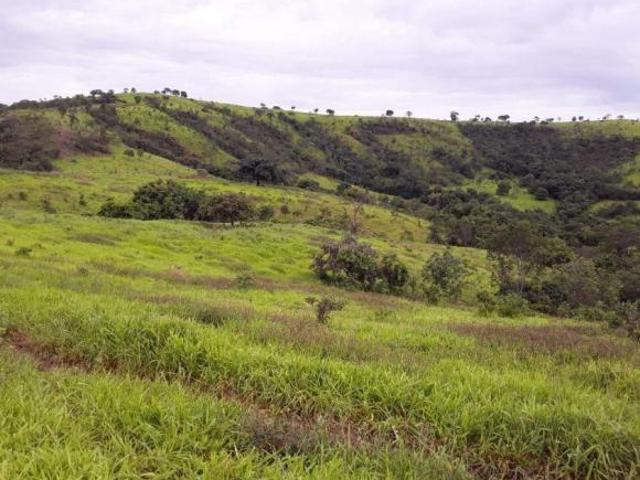 Fazenda para venda em Cocalzinho de Goiás