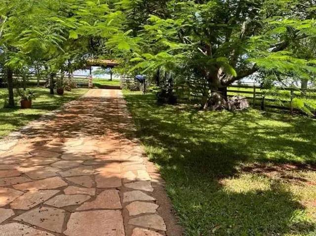 Fazenda para Venda em Cocalzinho de Goiás/GO Zona Rural
