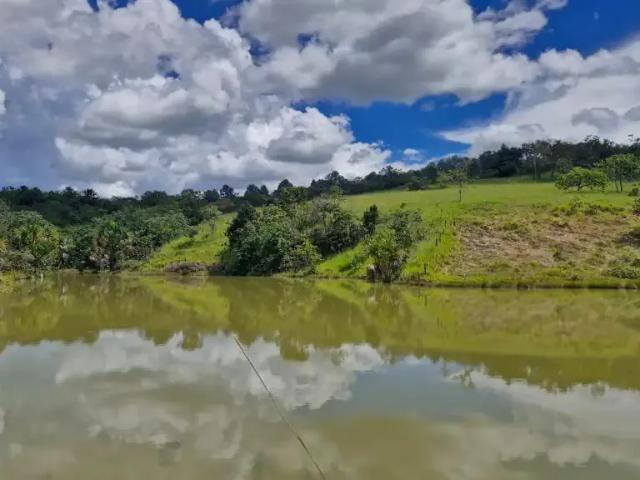 Fazenda para Venda em Cocalzinho de Goiás/GO Zona Rural