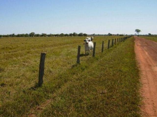 Fazenda para Venda em Cocalinho, 11 dormitórios, 5 suítes, 6 banheiros