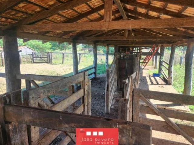 Fazenda para Venda em Cocalinho