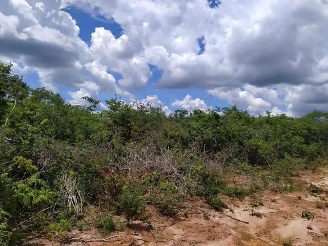 Fazenda para Venda em Cocos/BA Centro 10 Quartos