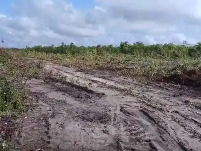 Fazenda para Venda em Coelho Neto/MA Zona Rural