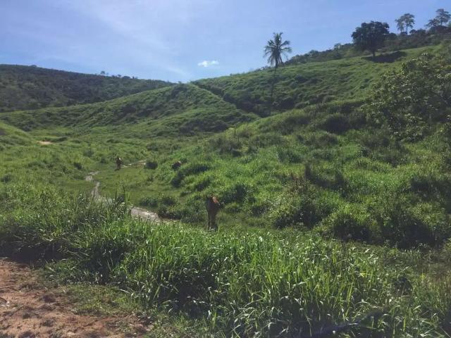 Fazenda para Venda em Colatina/ES Área Rural de Colatina 1 Quartos