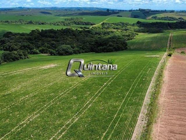 Sítio para venda em Colina, Guaíba