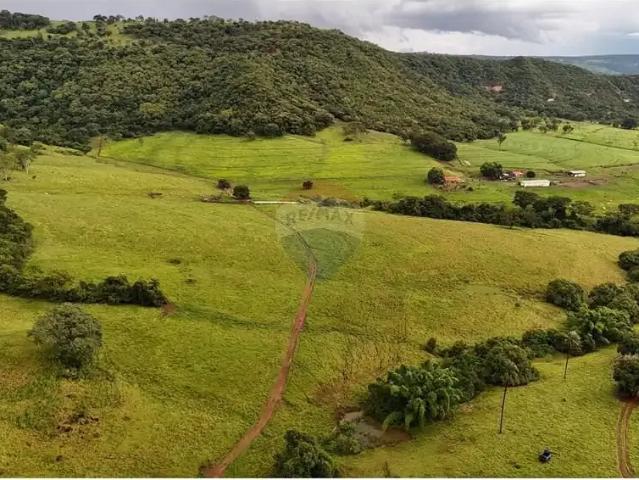 Fazenda para Venda em Colina/SP Centro 10 Quartos