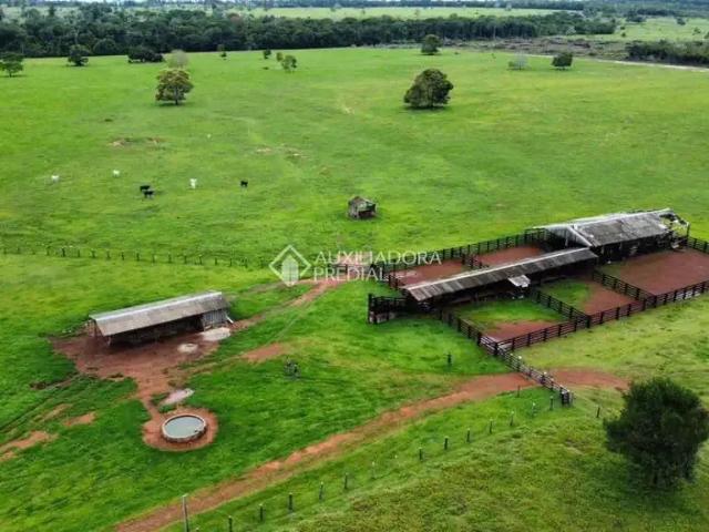 Fazenda para Venda em Colíder/MT Zona Rural
