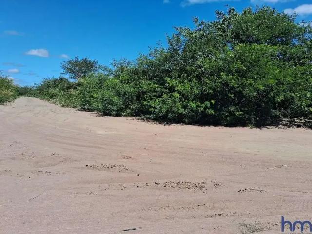Fazenda para Venda em Colônia do Gurguéia/PI Zona Rural