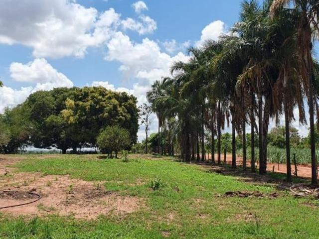 Fazenda para Venda em Comendador Gomes, Zona Rural