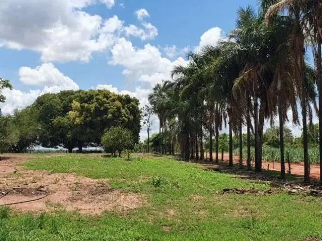 Fazenda para Venda em Comendador Gomes/MG Zona Rural