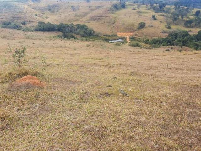 Fazenda para venda em Conceição do Rio Verde