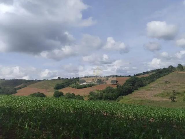 Fazenda para Venda em Conceição do Rio Verde/MG Centro 4 Quartos