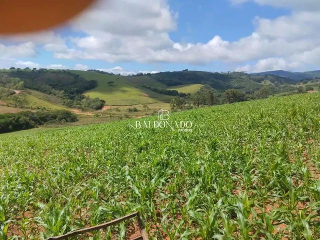 Fazenda para Venda em Conceição do Rio Verde/MG Centro 9 Quartos