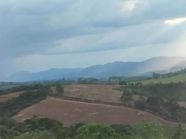 Fazenda para Venda em Conceição do Rio Verde/MG Zona Rural 4 Quartos