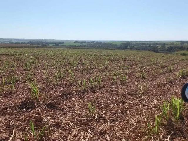 Fazenda para Venda em Conceição das Alagoas/MG Zona Rural