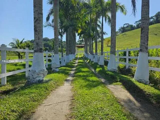 Fazenda para Venda em Cachoeiras de Macacu/RJ Zona Rural 8 Quartos