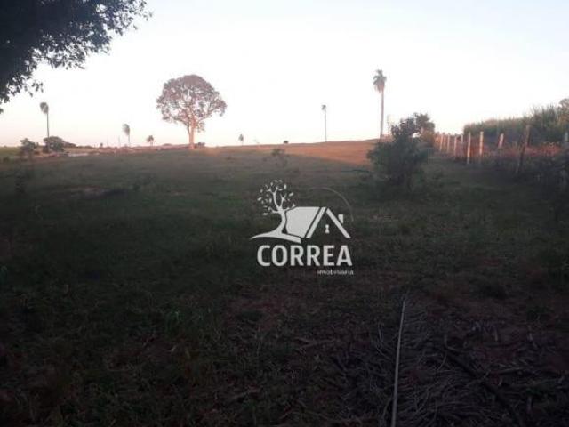 Fazenda para venda em Conchas