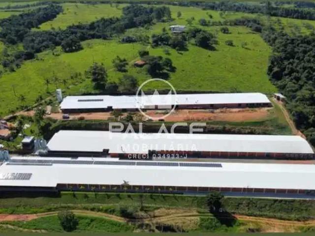 Fazenda para Venda em Conchas/SP Centro 1 Quartos