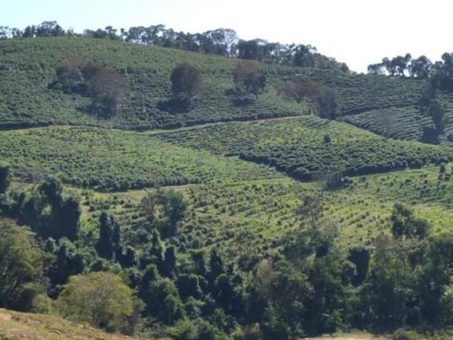 Fazenda para venda em Congonhal, Cambuquira