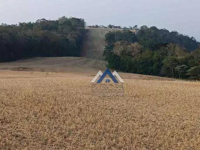Fazenda para Venda em Congonhinhas/PR Zona Rural 5 Quartos