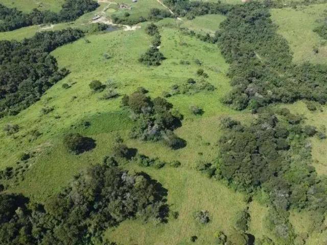 Fazenda para Venda em Congonhinhas/PR Zona Rural