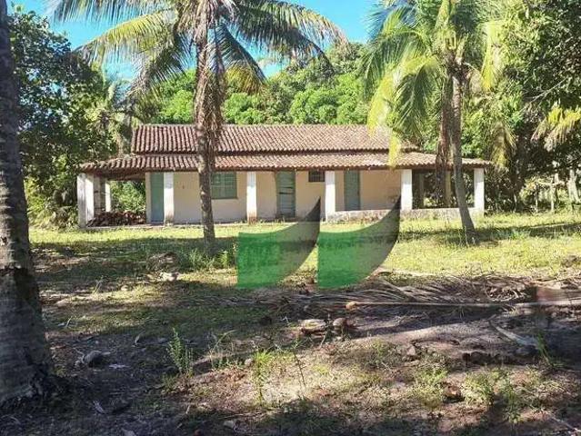 Fazenda para Venda em Conde/BA Itariri
