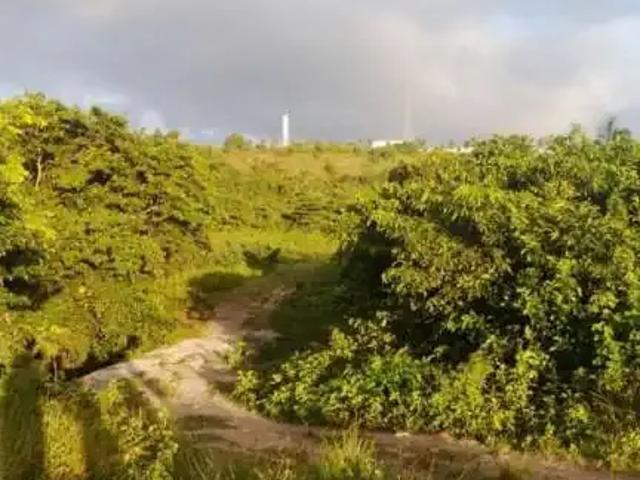 Fazenda para Venda em Conde/PB Centro 3 Quartos