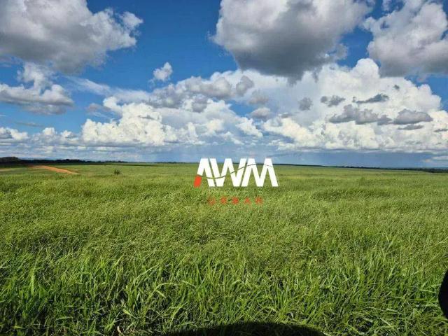 Fazenda para Venda em Confresa/MT Centro