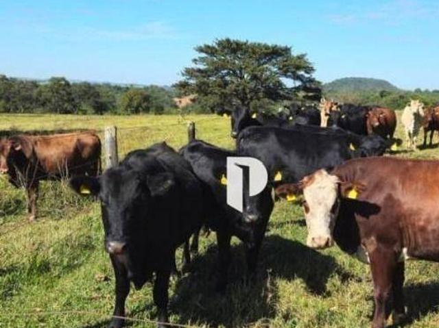Fazenda para venda em Conjunto Guanabara, Uberaba