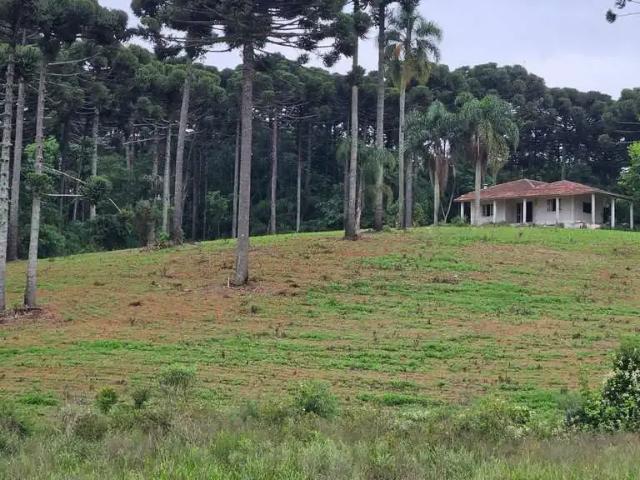 Fazenda para Venda em Contenda/PR Centro 3 Quartos
