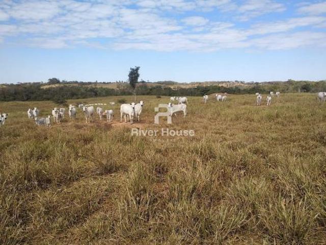 Fazenda para venda em Coqueiral, Nobres