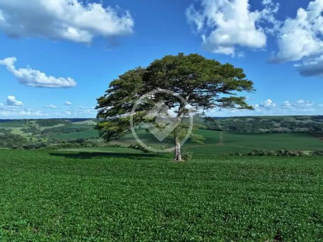Fazenda para Venda em Corbélia/PR Centro