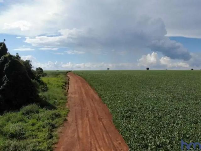 Fazenda para Venda em Coromandel/MG Zona Rural