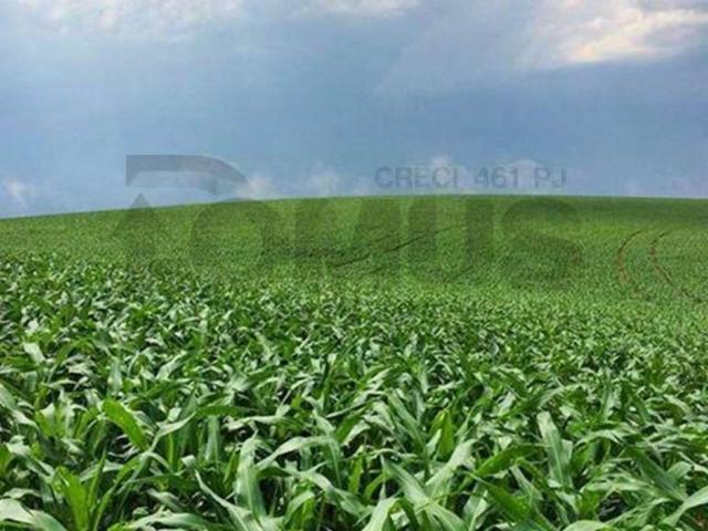 Fazenda para Venda em Coronel João Sá/BA Povoado Cafufa