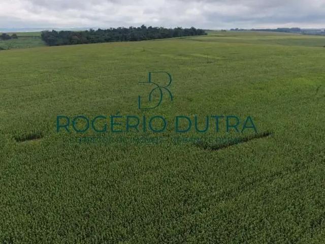 Fazenda para Venda em Cornélio Procópio/PR Zona Rural