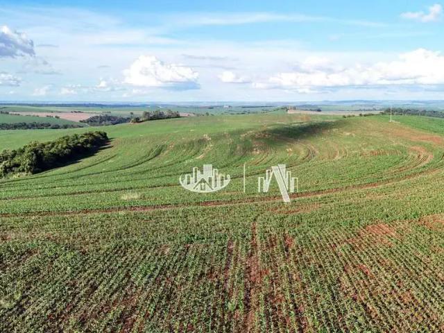 Fazenda para Venda em Cornélio Procópio/PR Zona Rural
