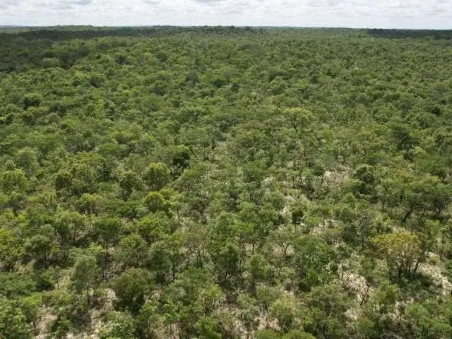Fazenda para Venda em Corrente/PI Zona Rural