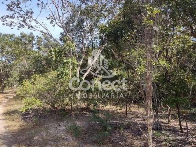 Fazenda para Venda em Correntina/BA Zona Rural