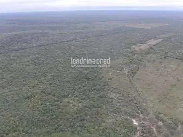 Fazenda para Venda em Corumbá/MS Área Rural de Corumbá