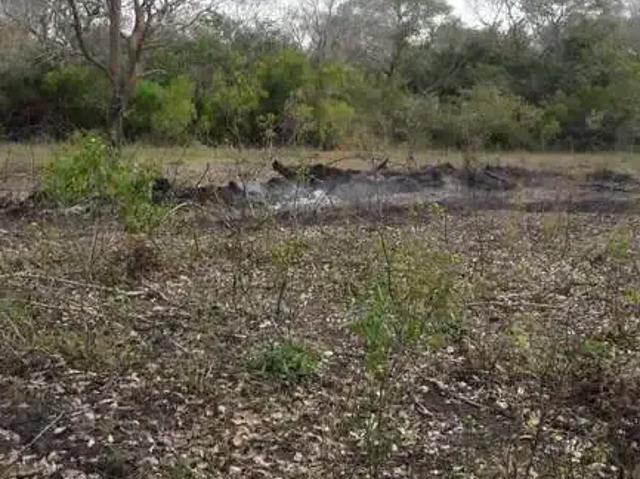 Fazenda para Venda em Corumbá/MS Área Rural de Corumbá